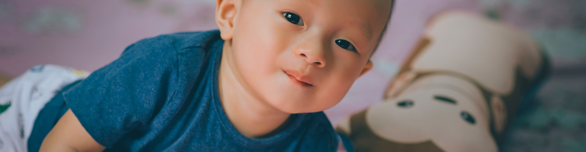 Adoption Program Summaries - Adoption Choice Inc.